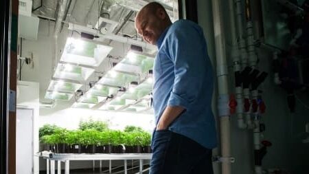 911-912: Andrew Jolley - From Mormon to Marijuana Businessman | Mormon ...